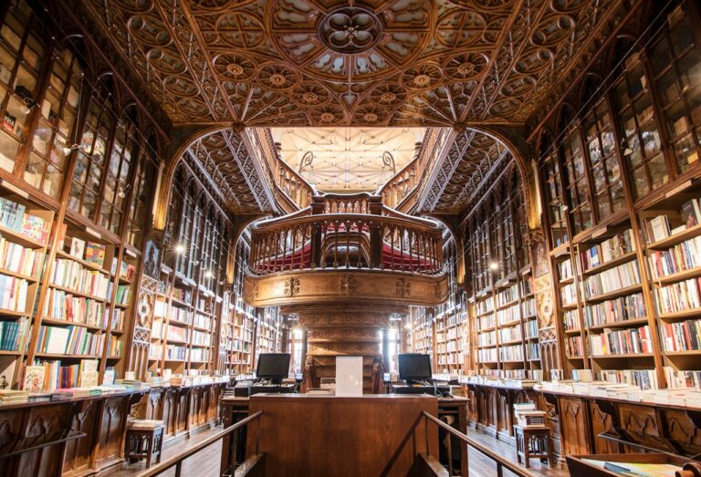 Annas Archive: Know This Before Opening E-Library